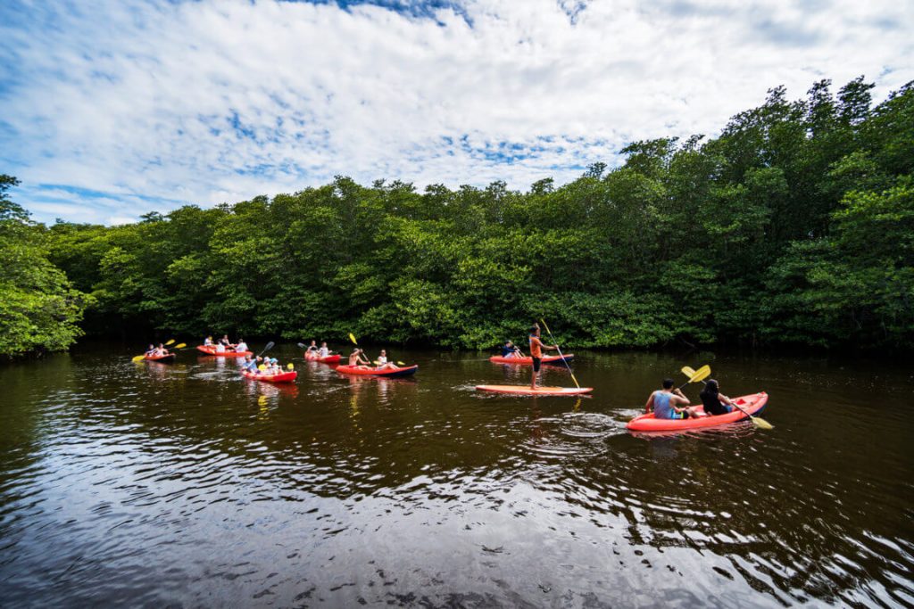 “Mangrove Tour” | Lembonganwatersport.com